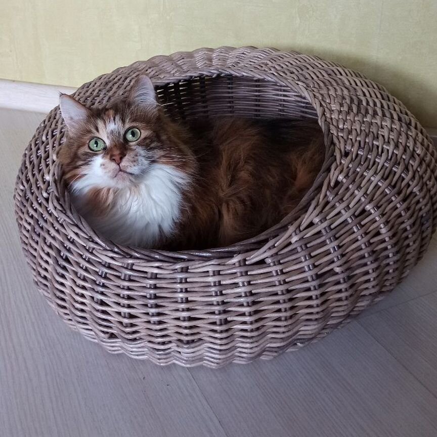 Лежанка для кота