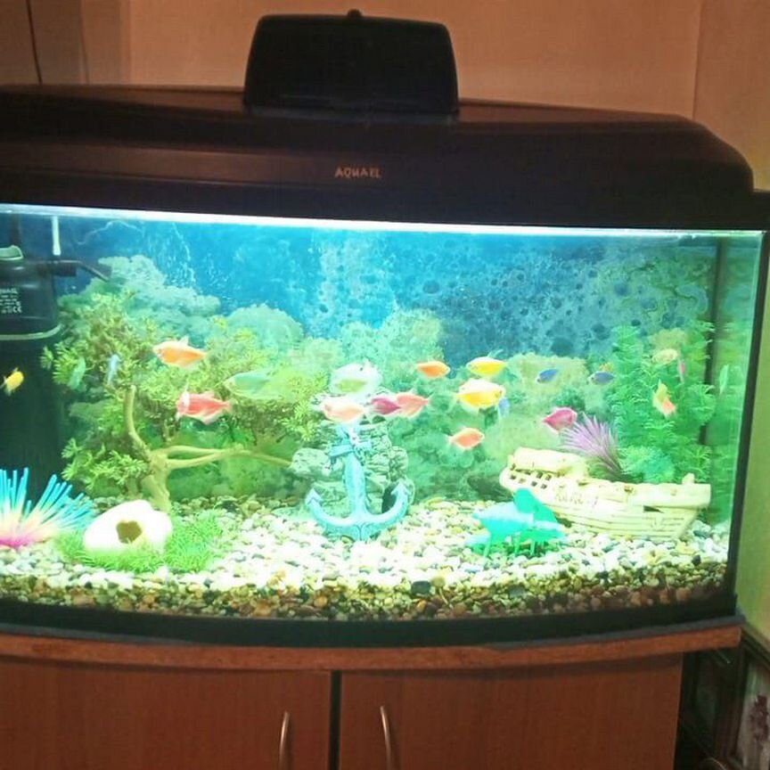 Аквариум без рыбок и тумба под него