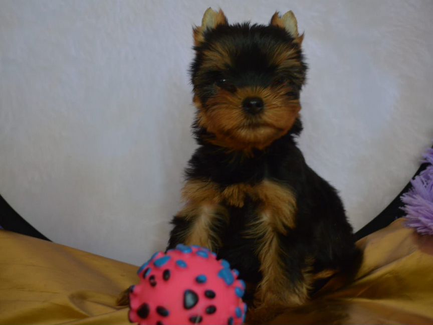 Красивые мальчишечки