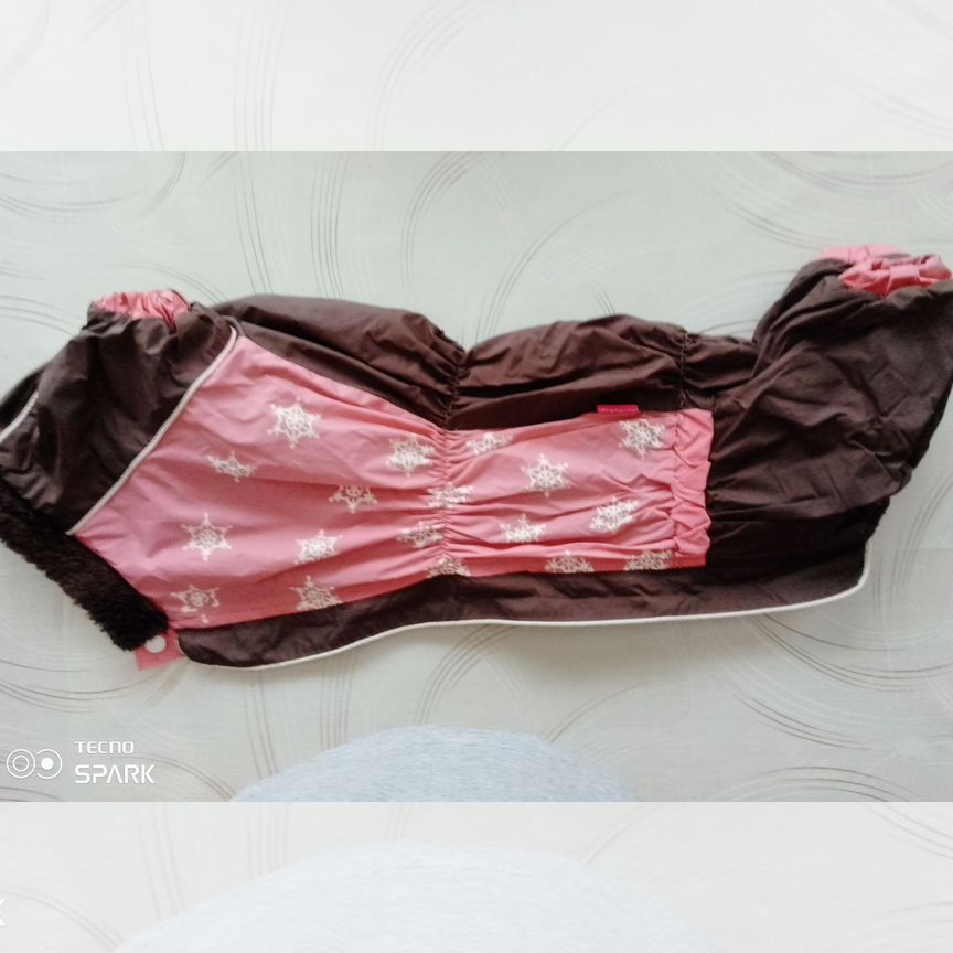 Зимняя одежда / комбинезон для таксы (девочки)