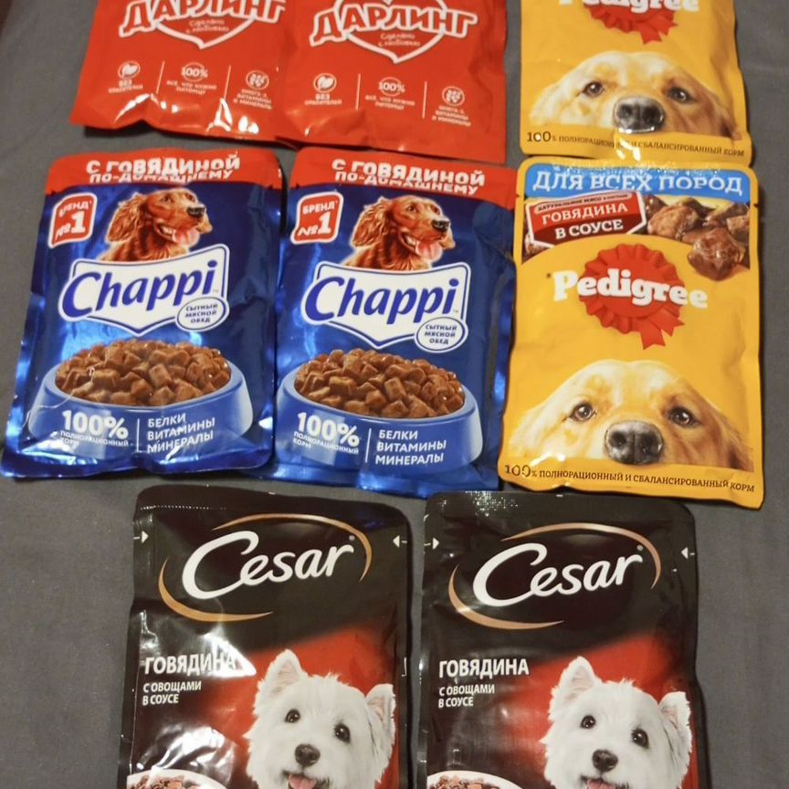 Влажный корм для собак