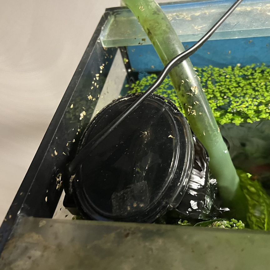 Аквариум 100 литров