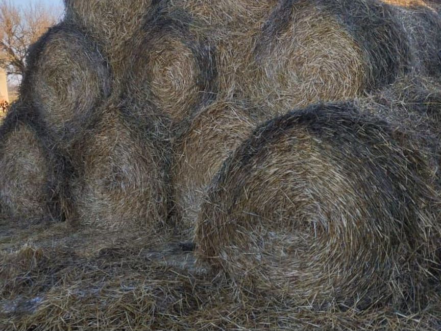 Продажа солома в рулонах
