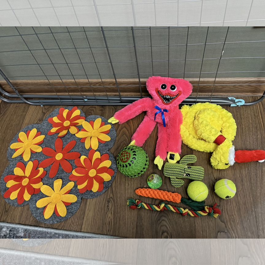 Игрушки для собак