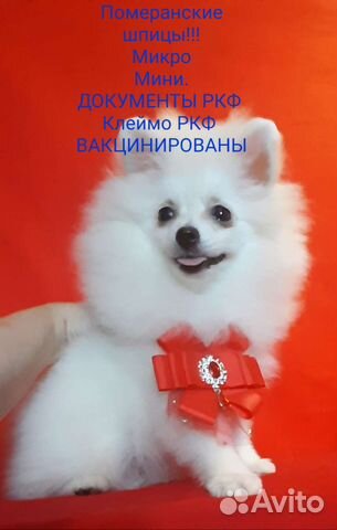 Микро.Мини.ркф.Видео