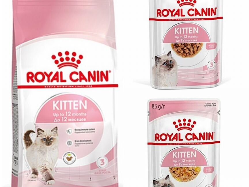 Корм для кототят royal canin