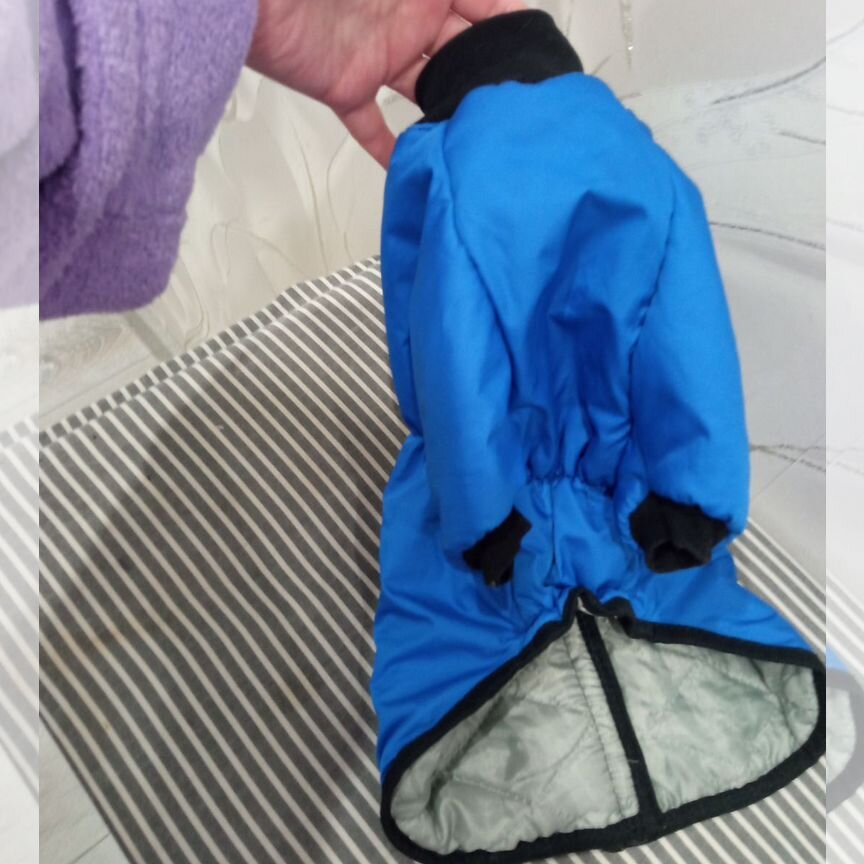 Одежда для собак