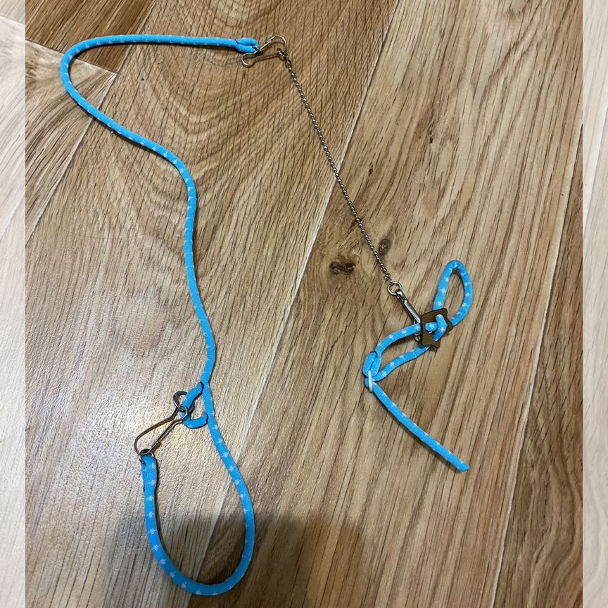 Поводак для крыс, хомячков