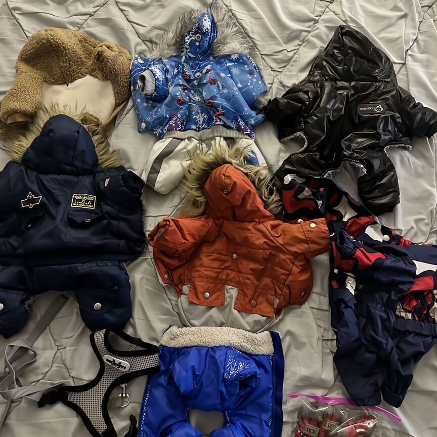 Одежда для собак мелких пород