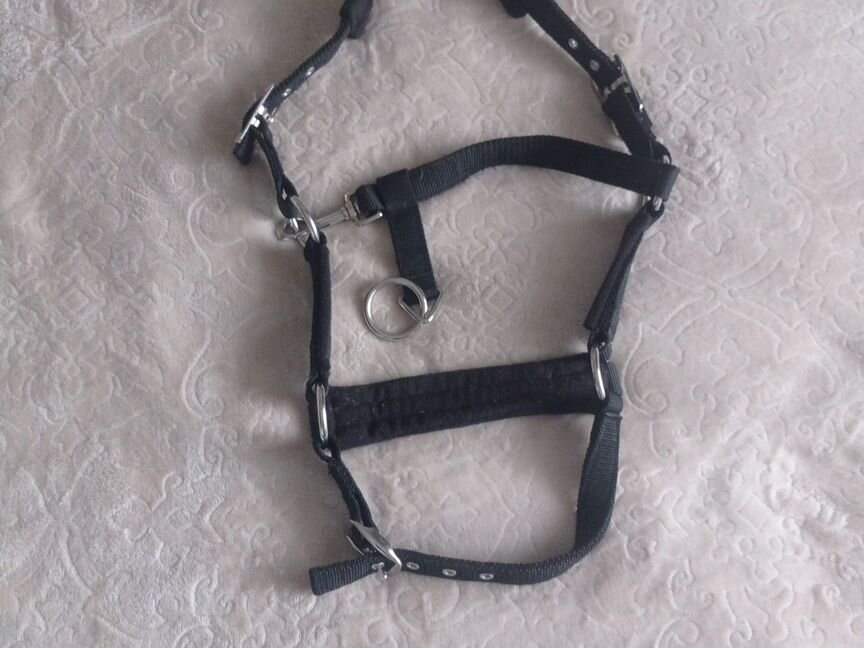 Конная амуниция