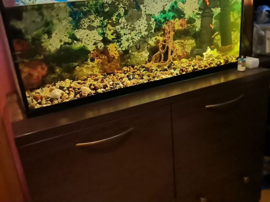 Аквариум 200л возможно приобрести с тумбой или без