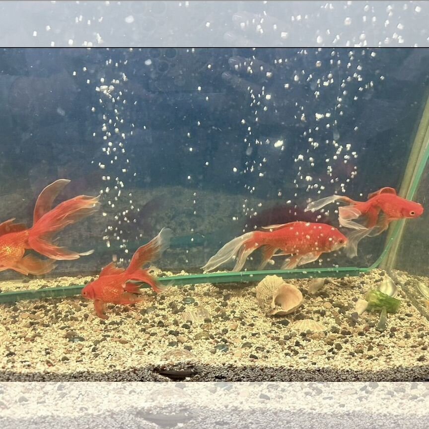 Аквариум 190 литров