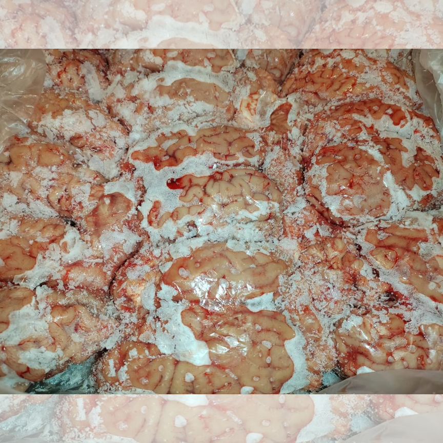 Мозг говяжий