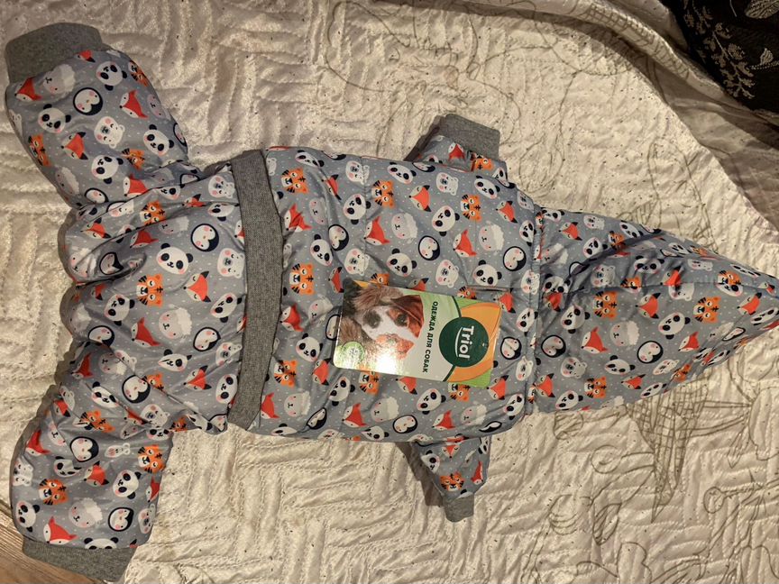 Одежда для собак