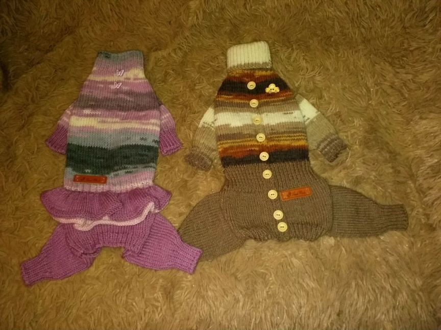 Вязанные одежды для мелких и средних пород