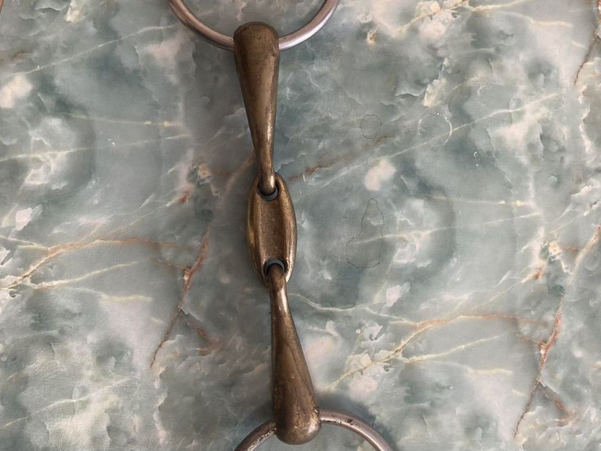 Трензель для лошади