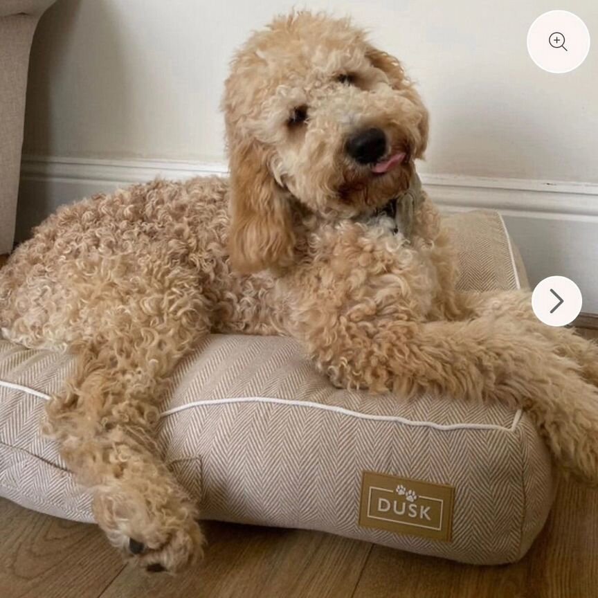 Лежак для собаки новый dusk