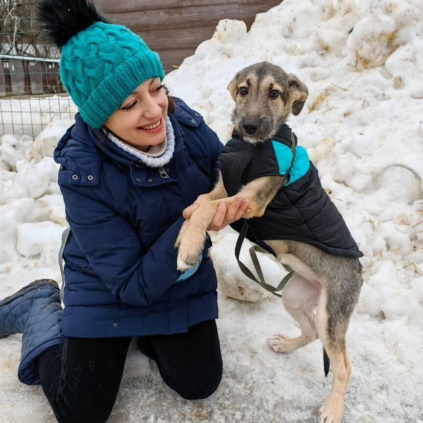 Щенок Искорка в добрые руки