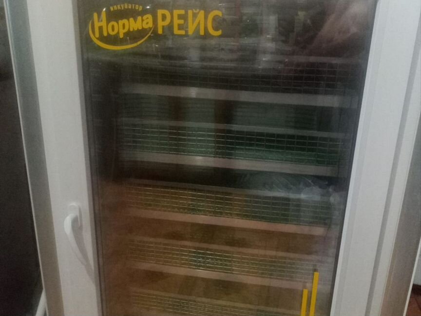 Инкубатор норм рейс