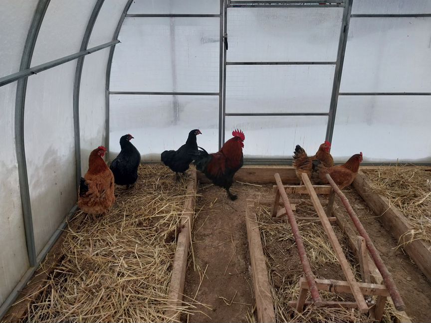 Маран Ч.М. и Кучинская Юбилейная