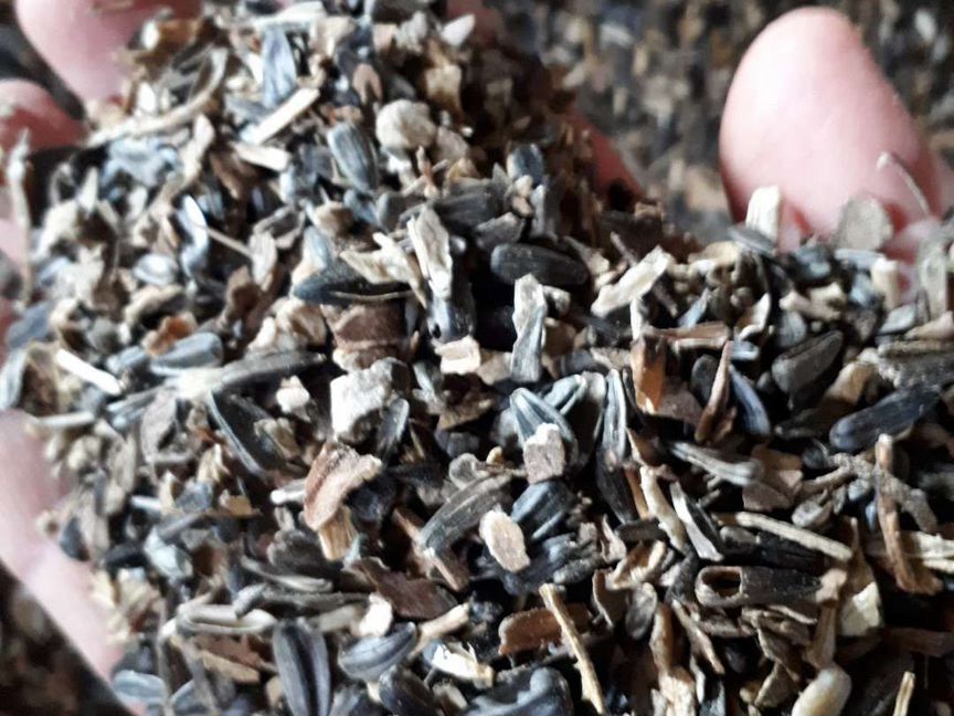 Зерно и семечные отходы