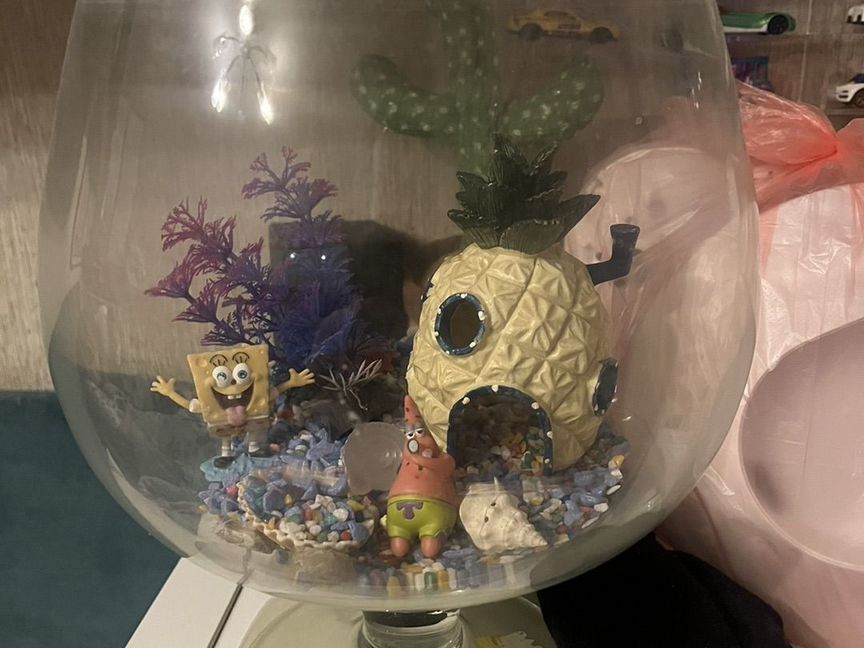 Аквариум бакал на 7 литров