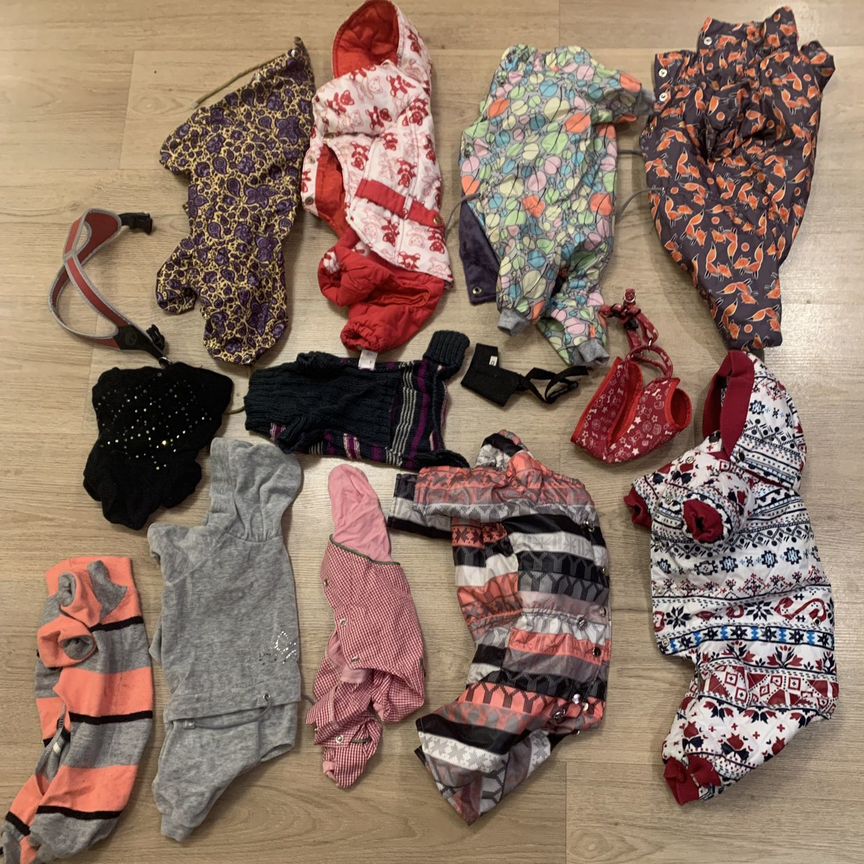 Вещи для маленьких собак