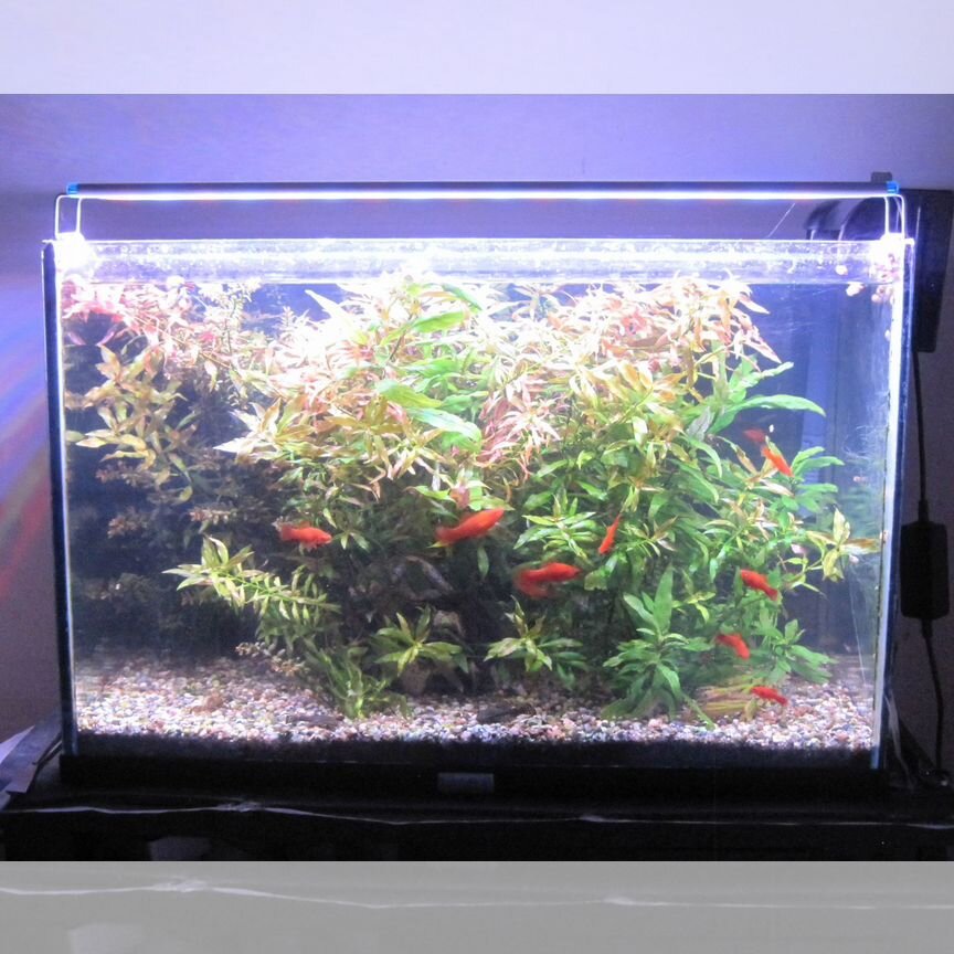 Аквариум juwel 70 литров