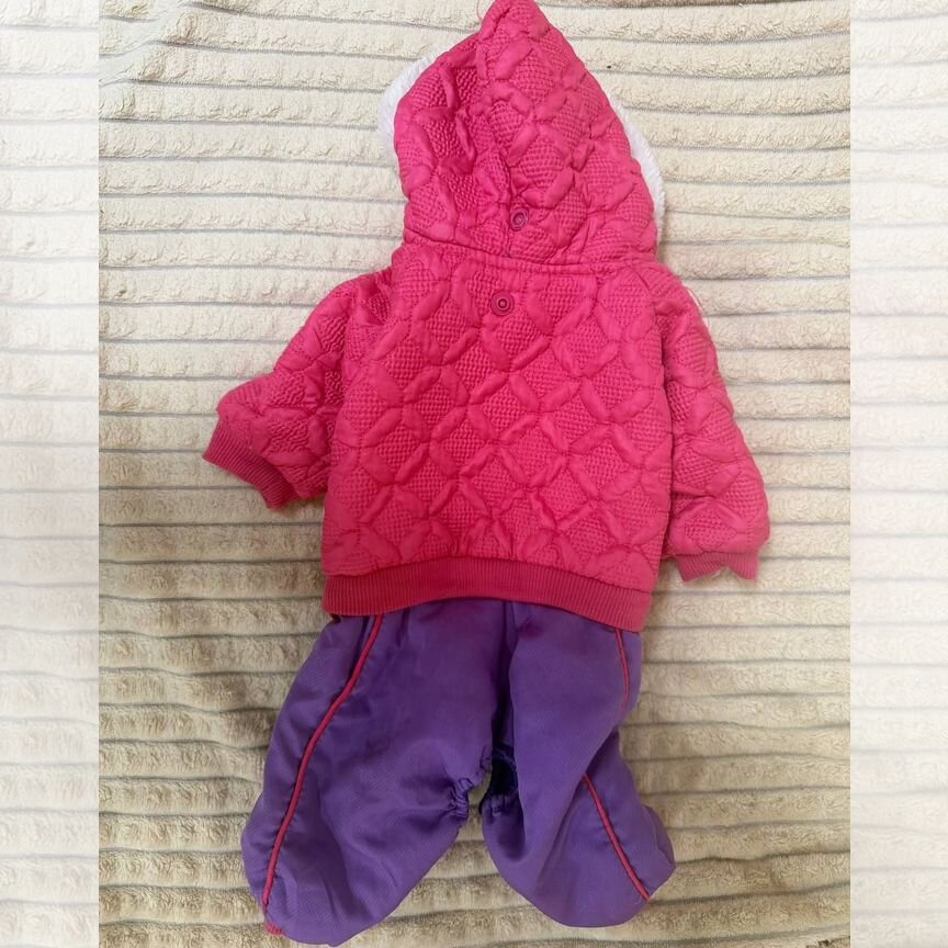 Костюм для маленькой собачки