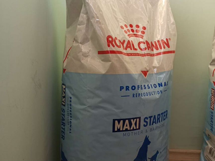 Royal canin maxi starter 18 kg