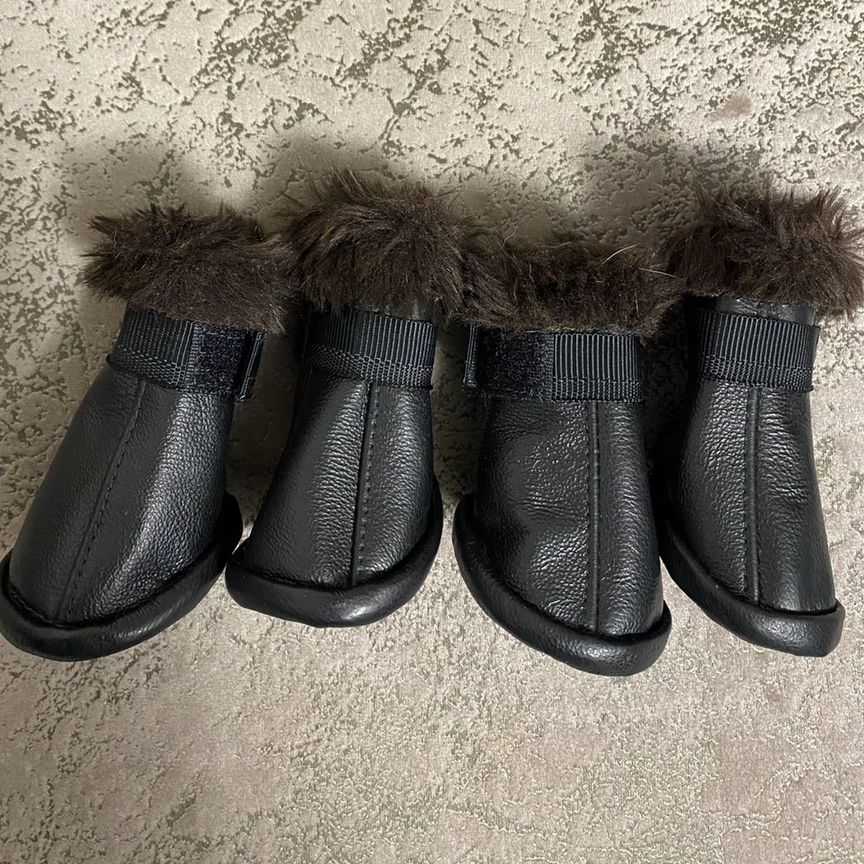 Обувь для собак