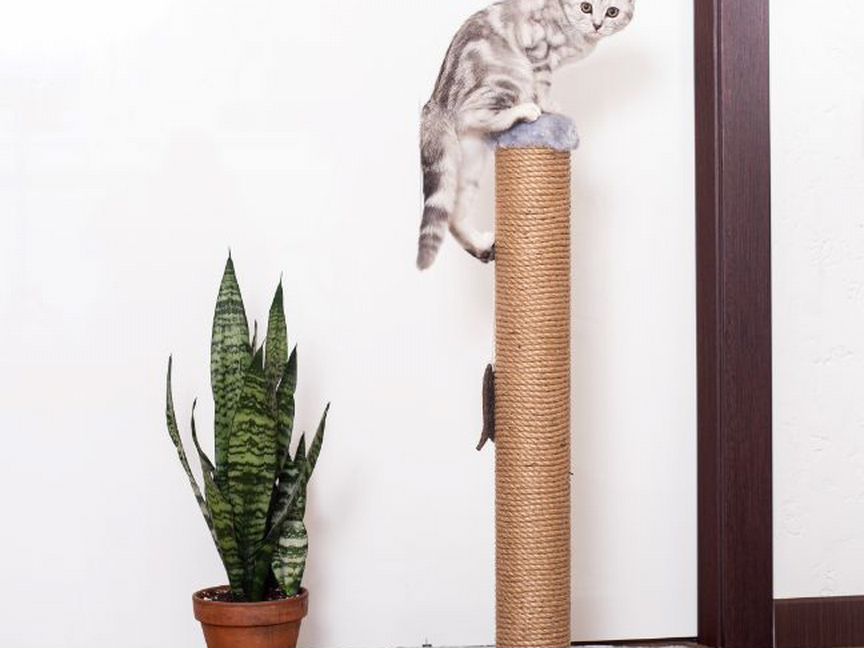 Когтеточка столбик джутовый 80 см