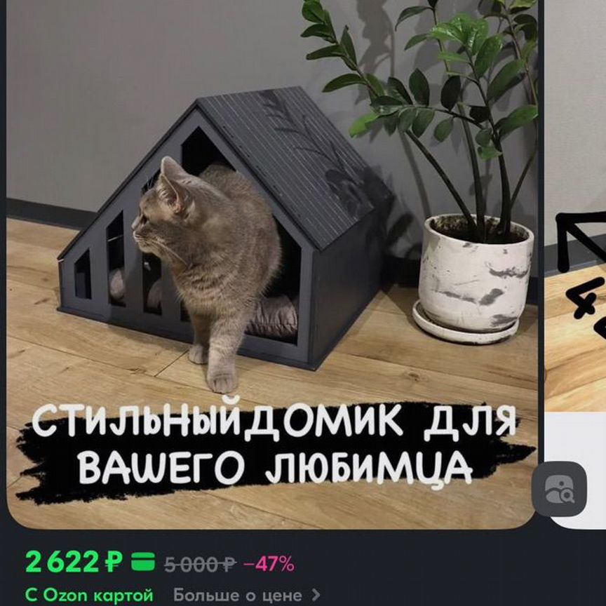 Домик для кота новый