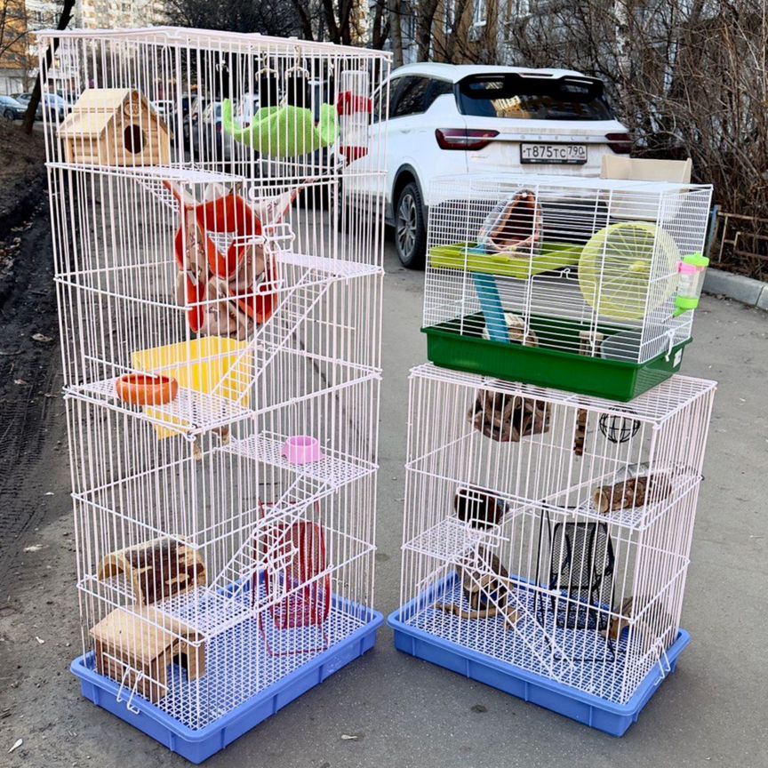 Клетка для крыс дегу шиншилл крысят хомяка