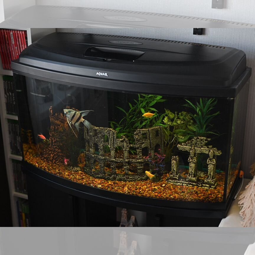 Аквариум с тумбой 100л