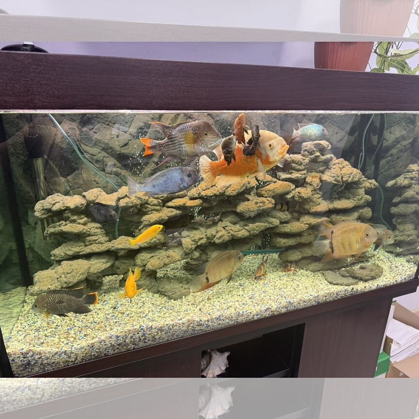 Аквариум 420 литров