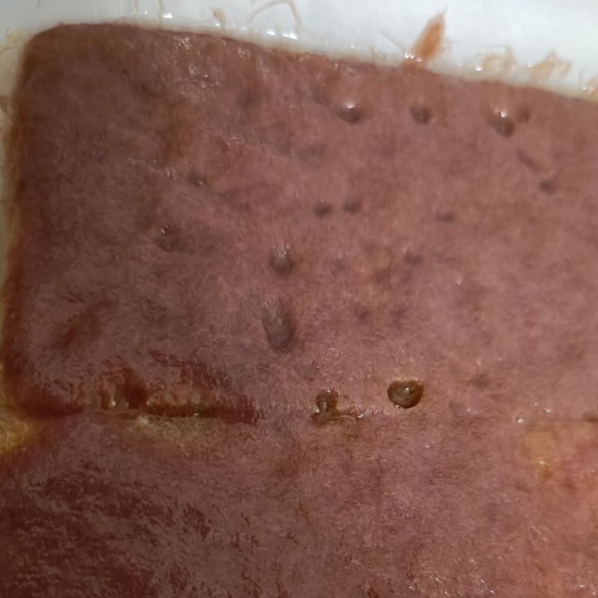 Аулофорус - водяная змейка