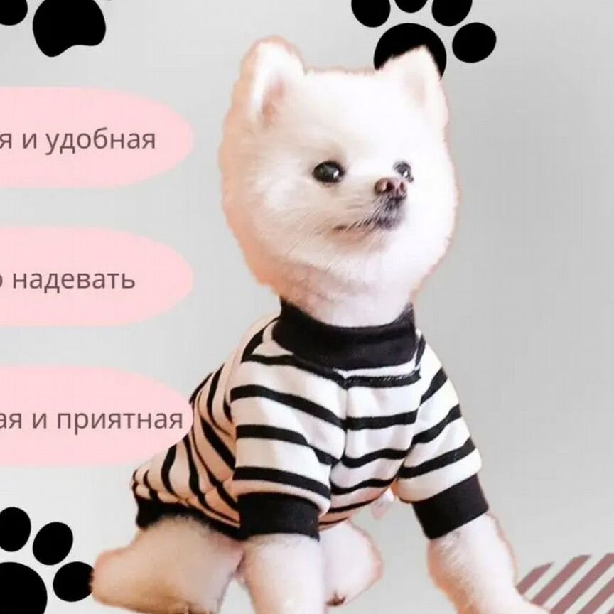 Свитшот для собаки