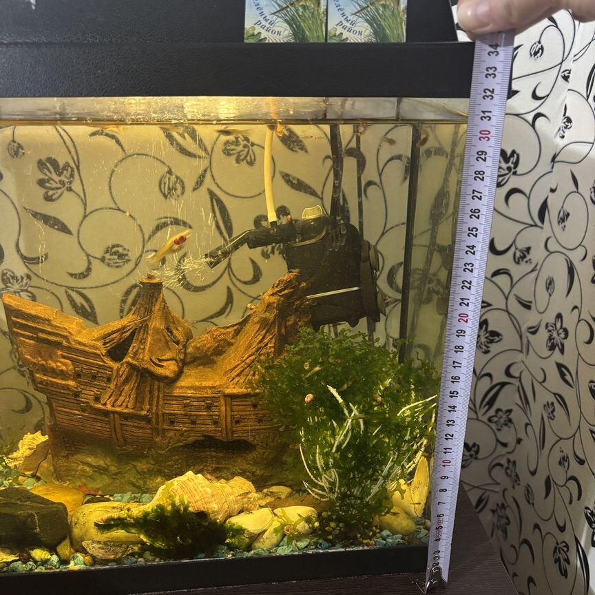 Аквариум с рыбками