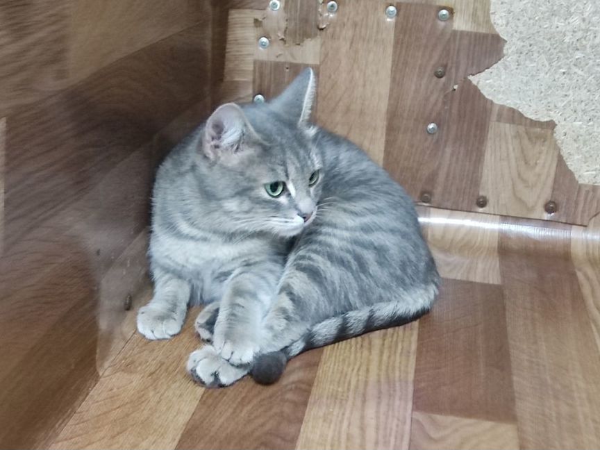 На поиск дома мало времени