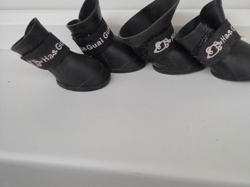 Резиновые ботинки для собаки