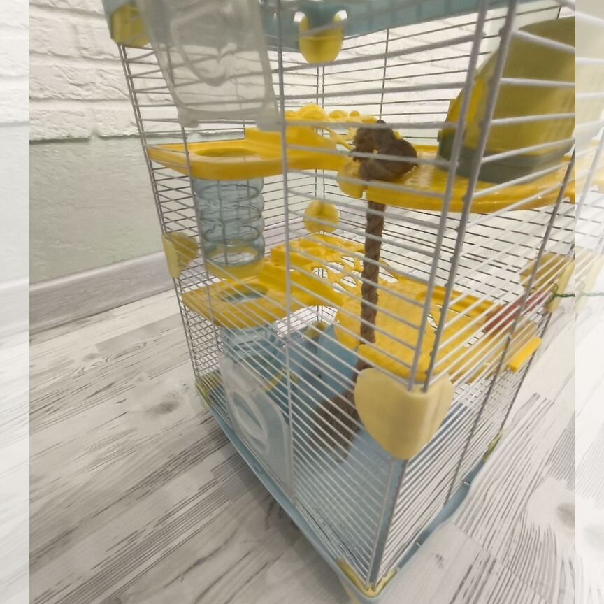 Развлекательная клетка для одного и двух грызунов