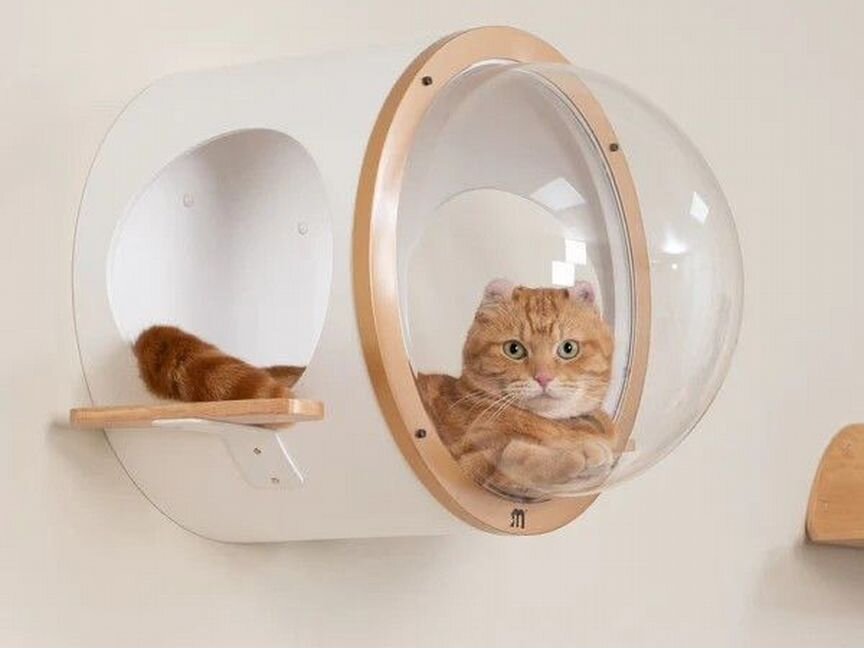 Домик капсула для кошек