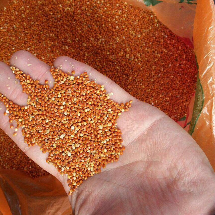 Продам Просо