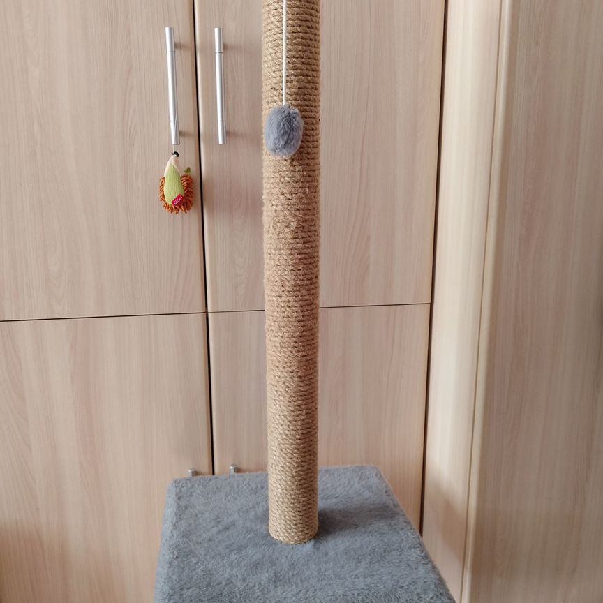 Когтеточка столбик