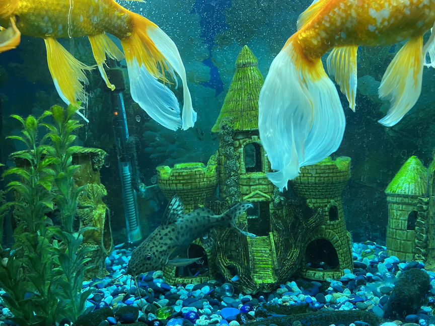 Аквариум с тумбой