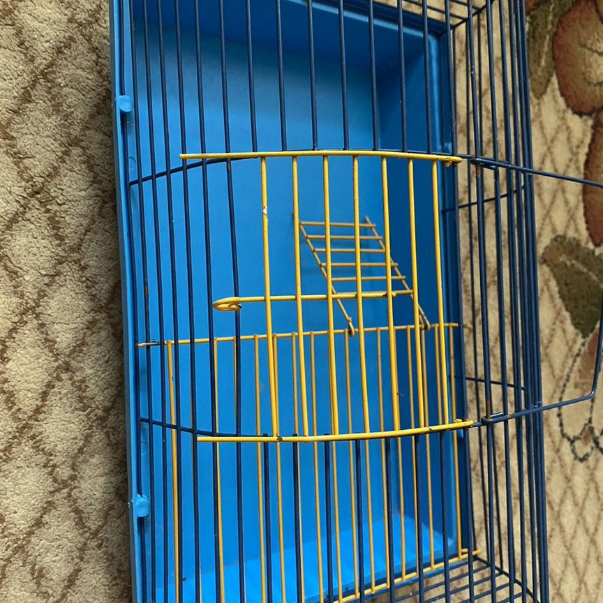 Клетка для джунгарика