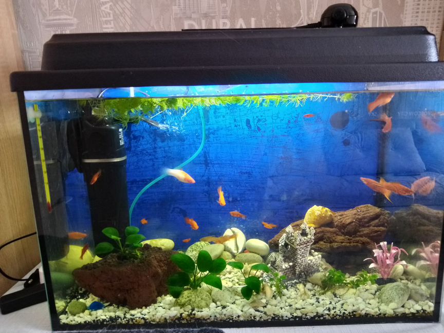 Украшение для аквариума