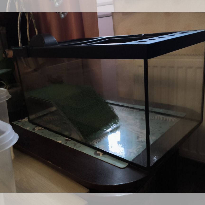 Аквариум для черепах