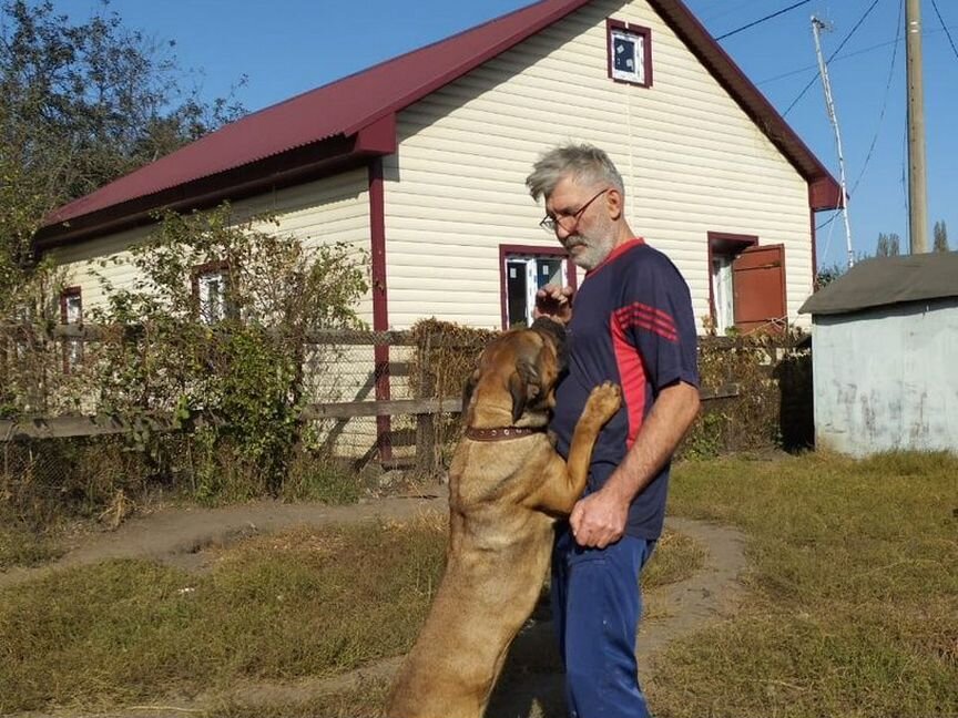 Предлагаю девчулю в дар